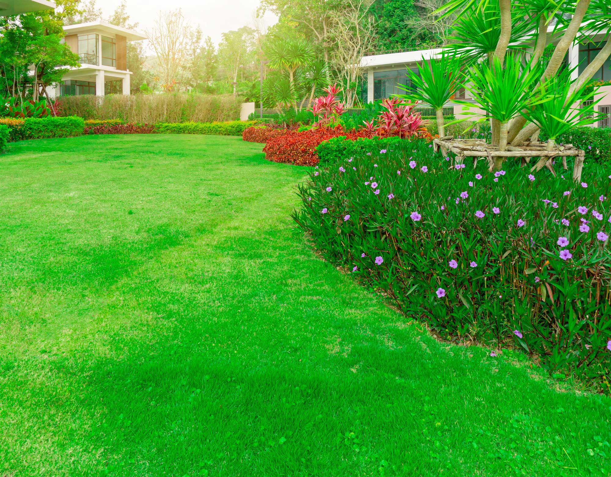 Pay Bill Turf Solutions Lee s Summit MO