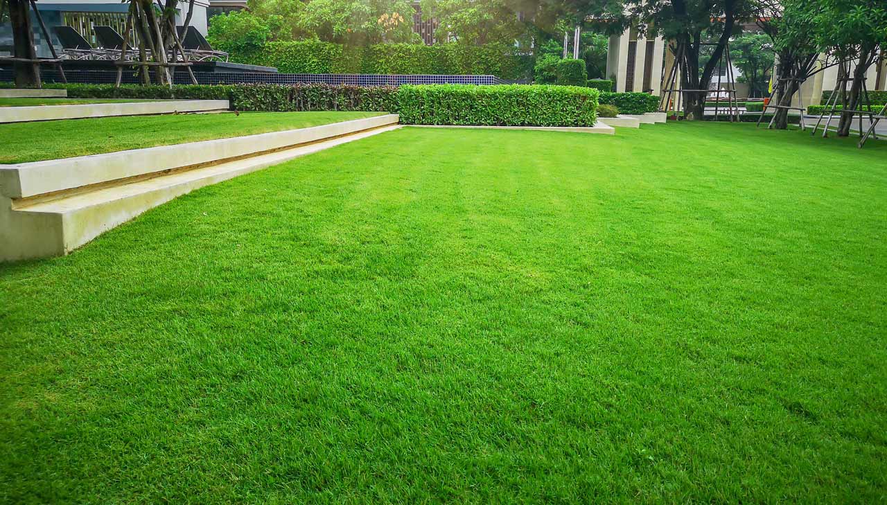 Lawn Care How To | Turf Solutions, Lee's Summit
