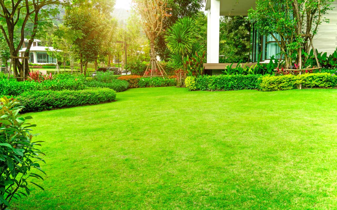 Lawn Care in Lee's Summit, MO | Turf Solutions